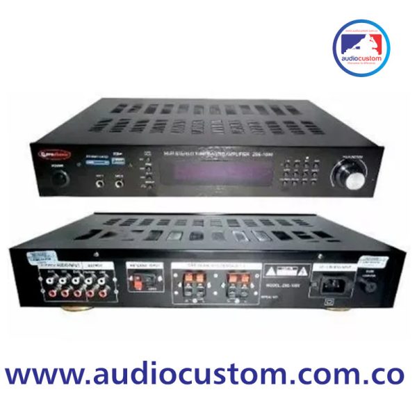 ZSE-1000 Amplificador Stereo 1000W (250WX2 a 4 ohm) USB, microSD ...